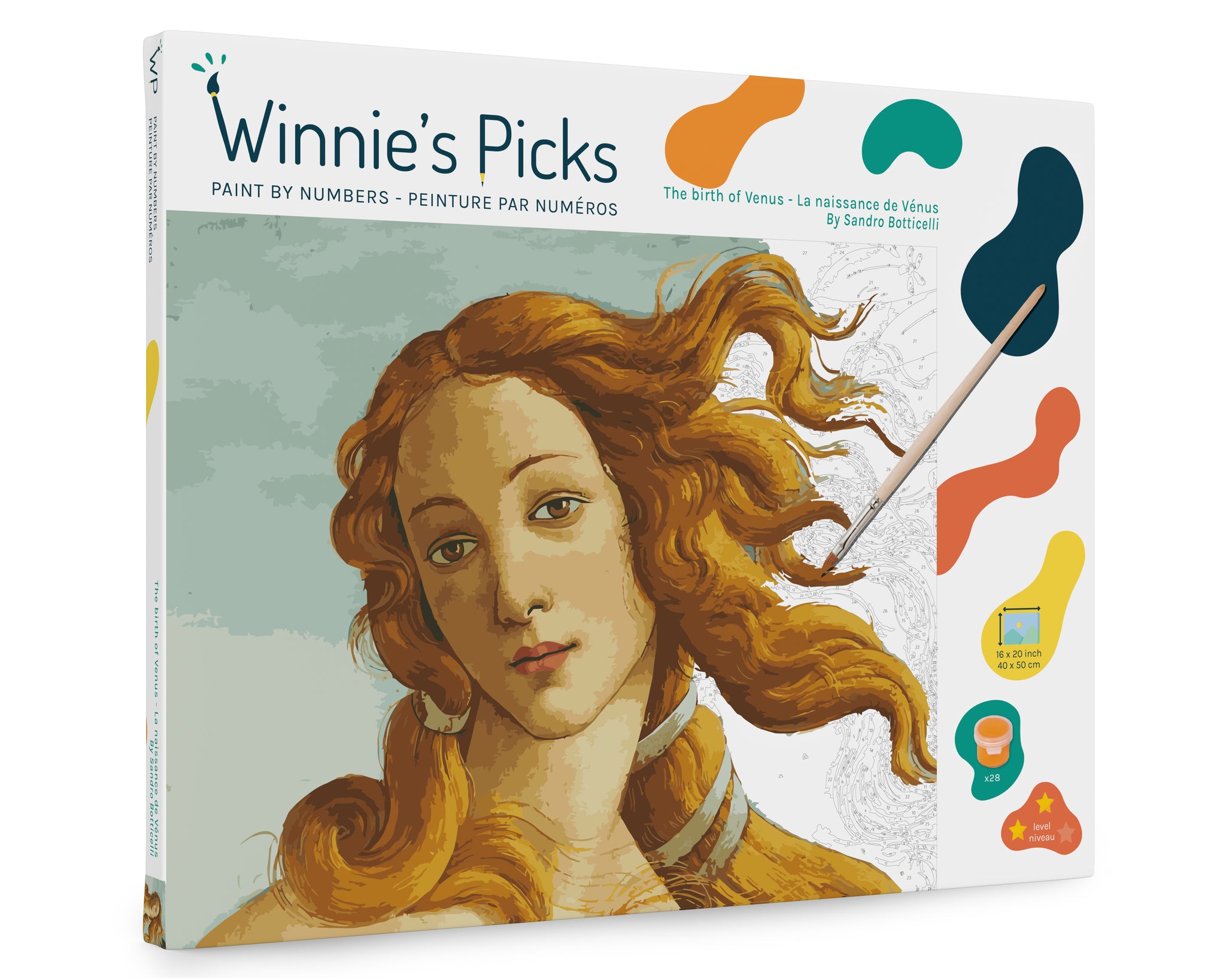 The birth of Venus, by Sandro Botticelli | Framed Paint by Numbers ...