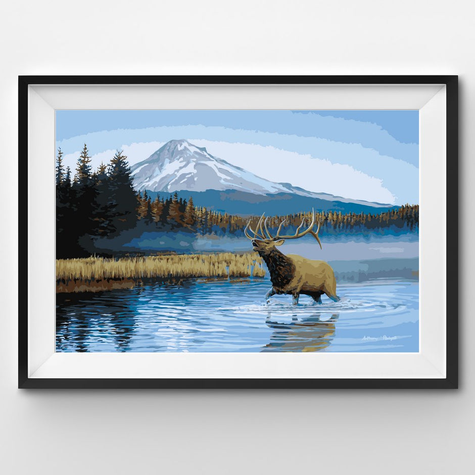 Winnie's Picks Official Store | Premium Paint by Numbers